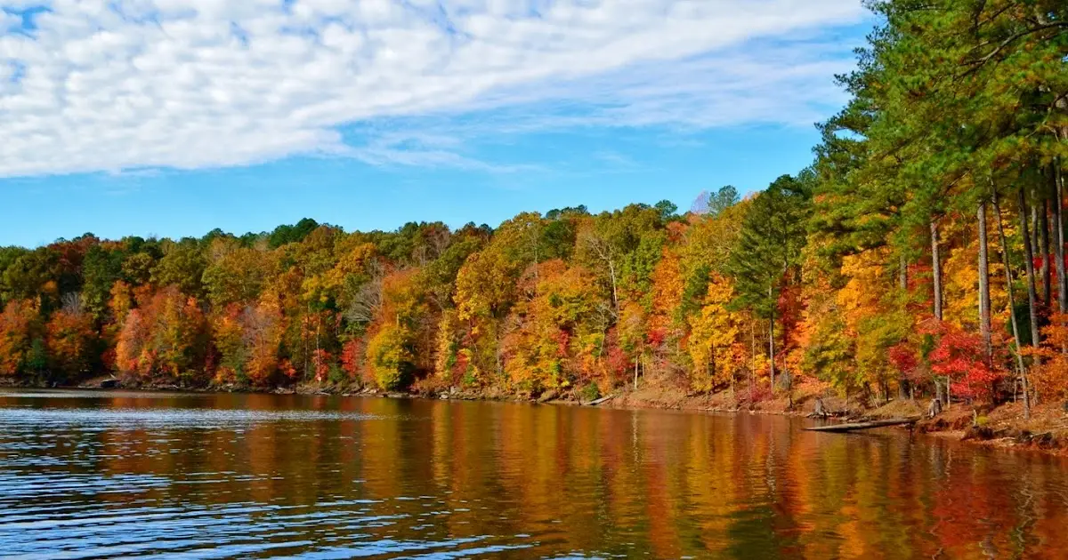 View Custom Homes In Shinleaf Estates, North Carolina